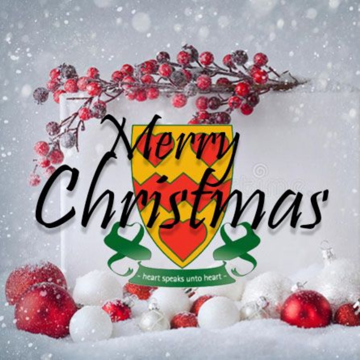 Newman Catholic College - The Newman Newsletter Christmas Edition ...